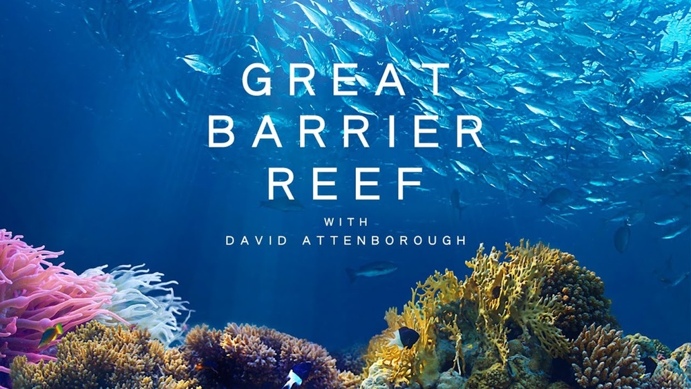 David Attenborough: Great Barrier Reef - Kritik | Moviebreak.de